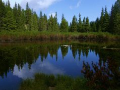 Tăul dintre Brazi, misteriorul lac din Parcul Naţional Retezat care nu ...
