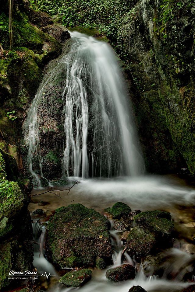 O nouă minune a naturii „ascunsă” în Banatul Montan: cât de frumoasă ...