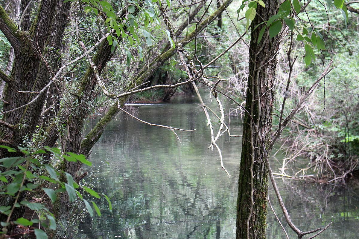 cheile nerei banatul montan turism (2) - PRESSALERT.ro