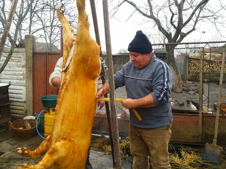 Tradițiile de tăiere a porcului, încă păstrate în sate din Banat ...