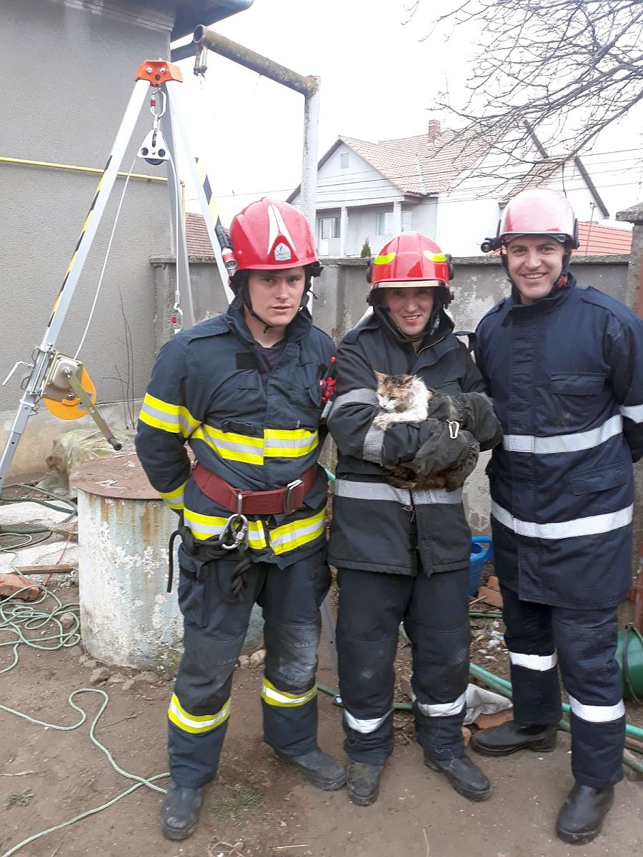 pisica pompieri 1 - PRESSALERT.ro