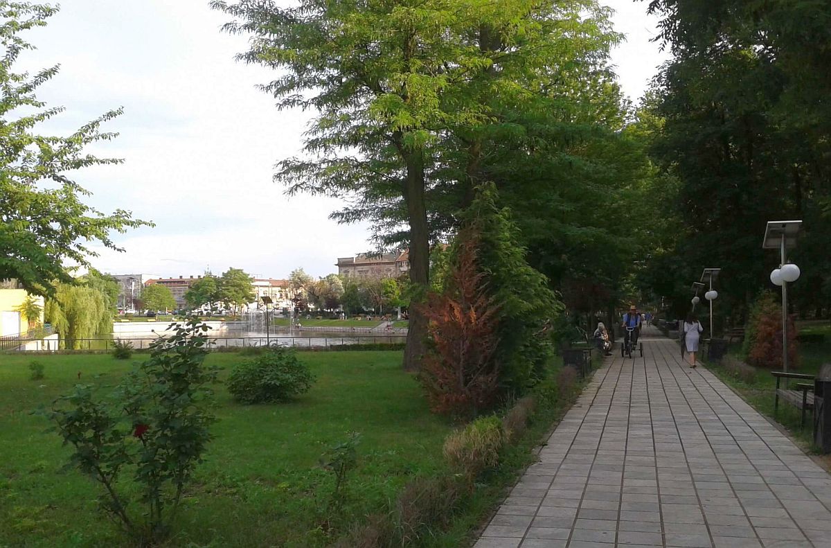 Seringi folosite, găsite de copiii care se jucau într-un parc