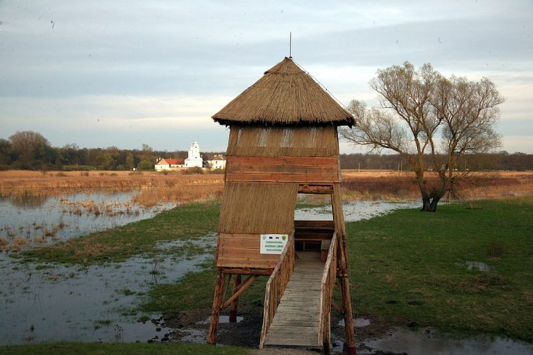 O rezervație naturală mai puțin cunoscută, în vestul țării. Povestea ...