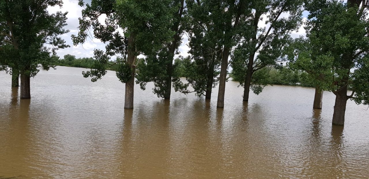 Digul rupt de râul Timiș la cele mai recente inundații, construit de o ...