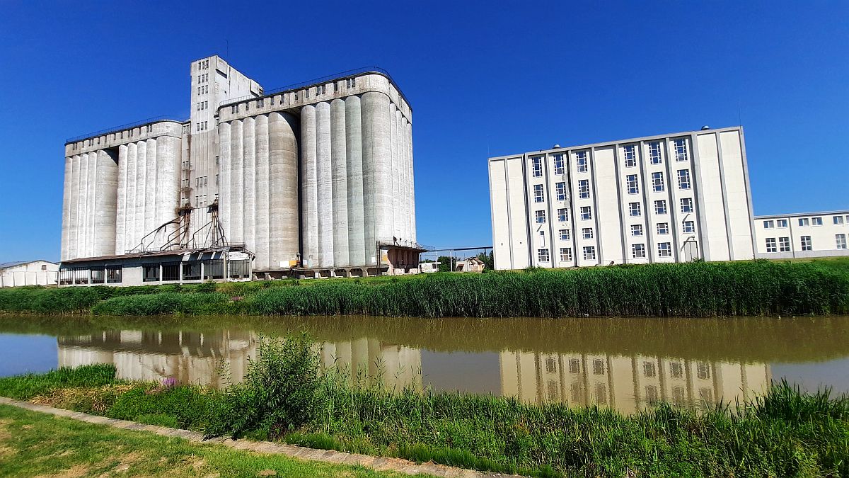 Bătrân din Timișoara, găsit înecat în râul Bega