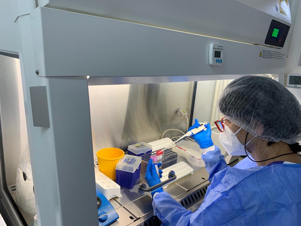 laborator teste pcr (6) - PRESSALERT.ro