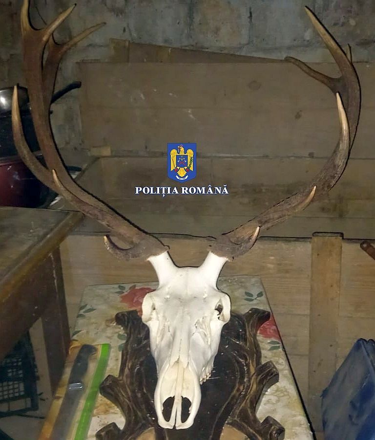 braconaj cinegetic - PRESSALERT.ro