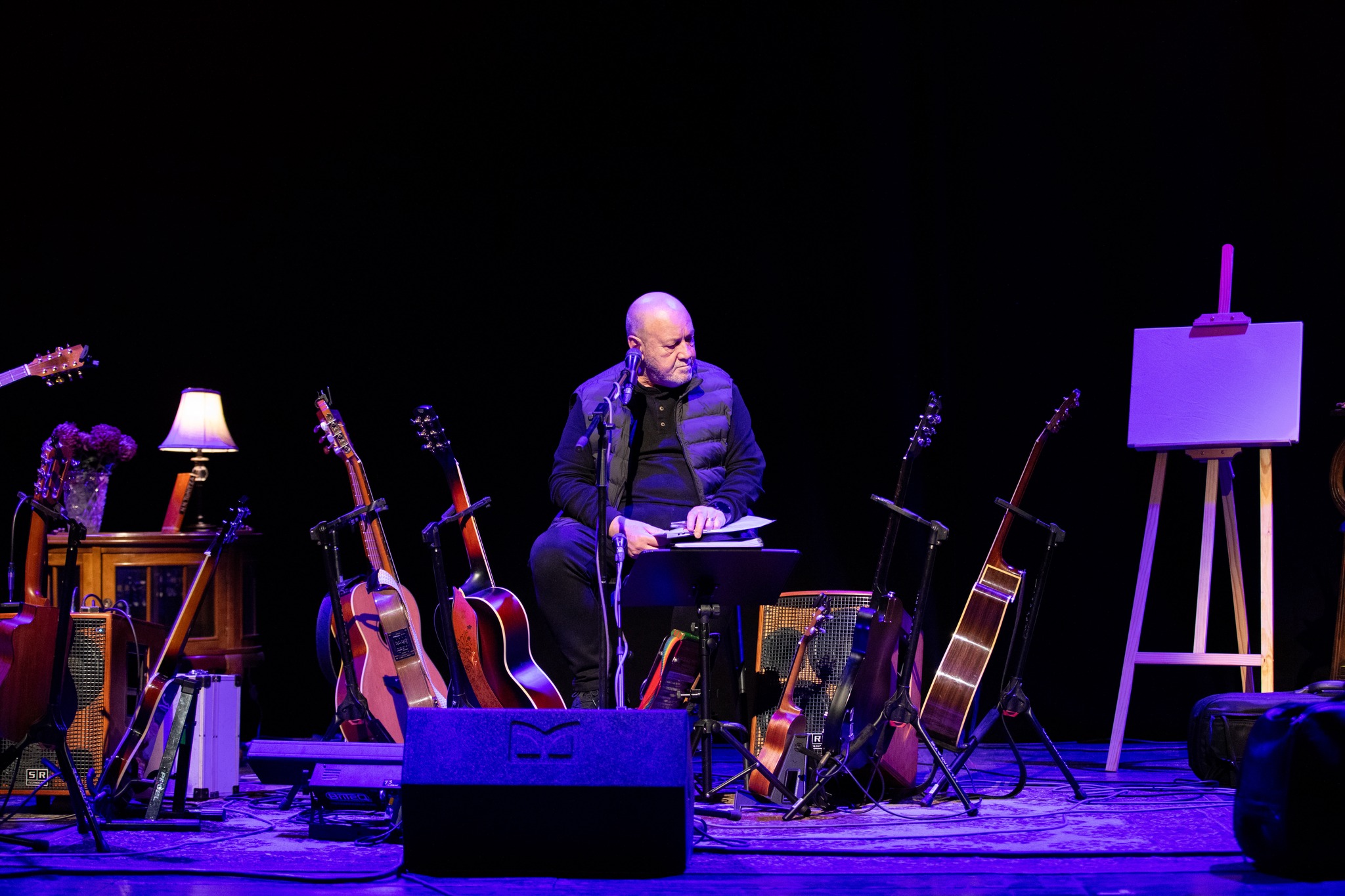 Nicu Alifantis susține concerte la Arad și Timișoara în cadrul ...