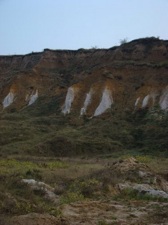 11. dealuri - PRESSALERT.ro