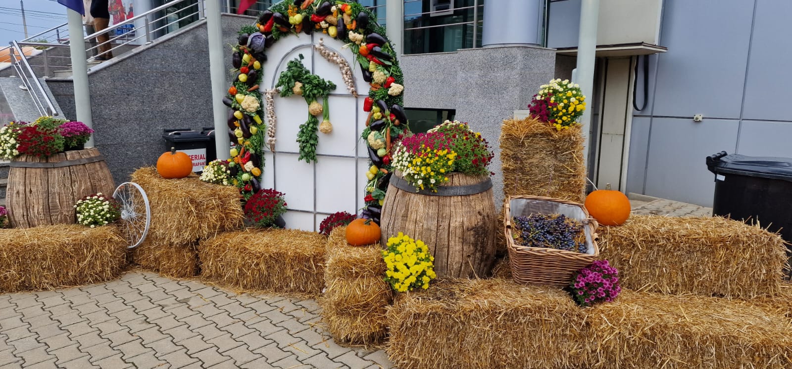 3. festivalul toamnei - PRESSALERT.ro